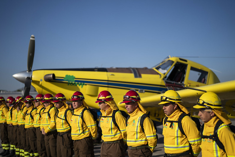 CONAF celebra 50 años de vida al servicio de los bosques y la ...